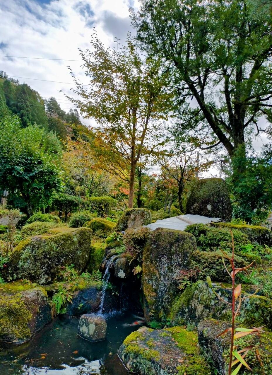 山城工芸の朝市ブログ : 今日は外へ、