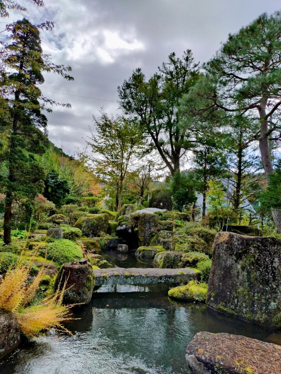 山城工芸の朝市ブログ : 今日は外へ、
