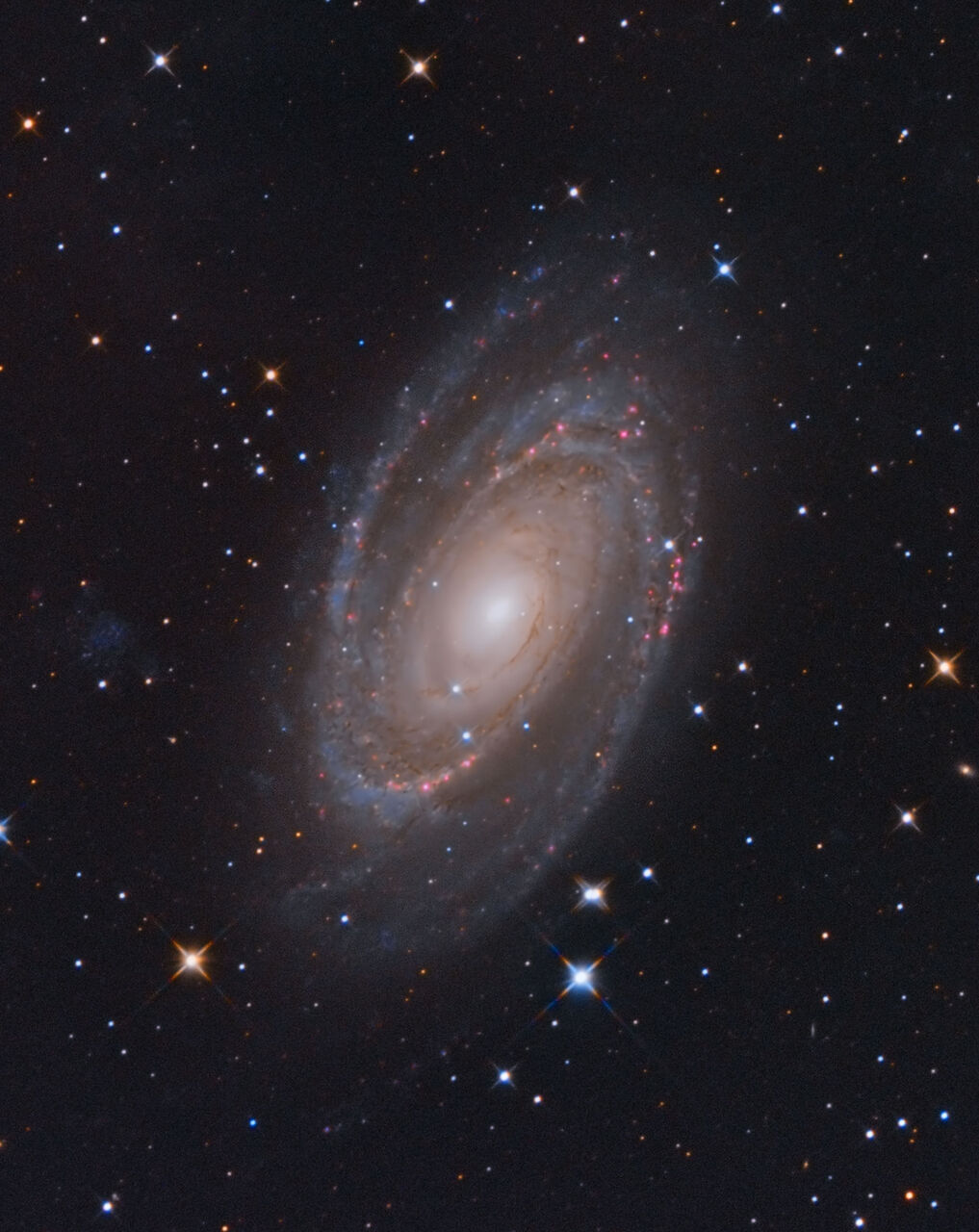 おおぐま座 M81、M82 : 岩国の星空と自然のギャラリー