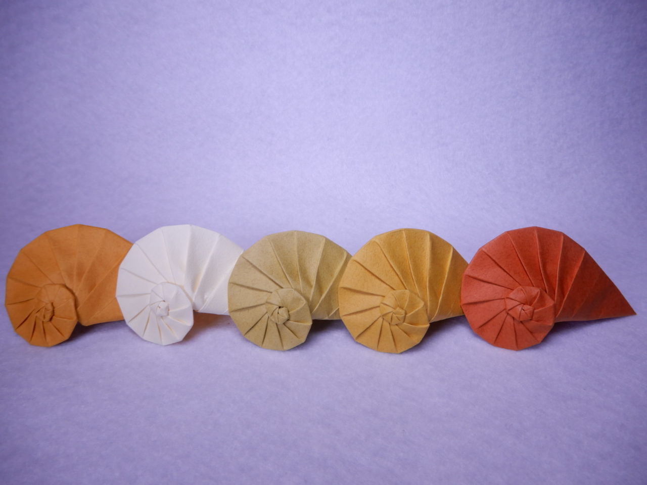 Navel Shell : The Music of Origami
