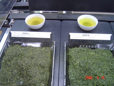 How they could make Organic Gyokuro - Sakamoto Brothers, Kagoshima ...