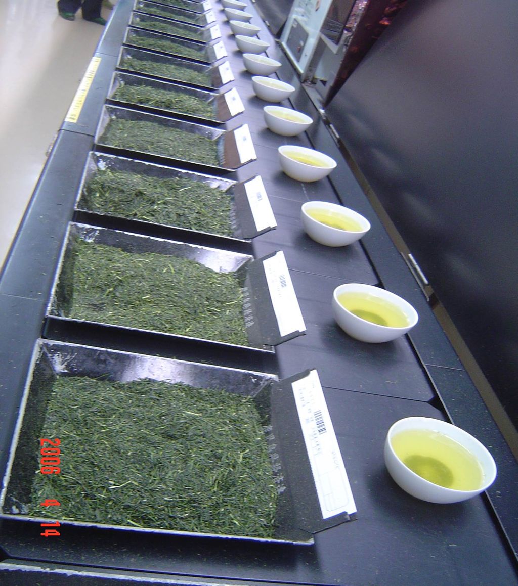 How they could make Organic Gyokuro - Sakamoto Brothers, Kagoshima ...