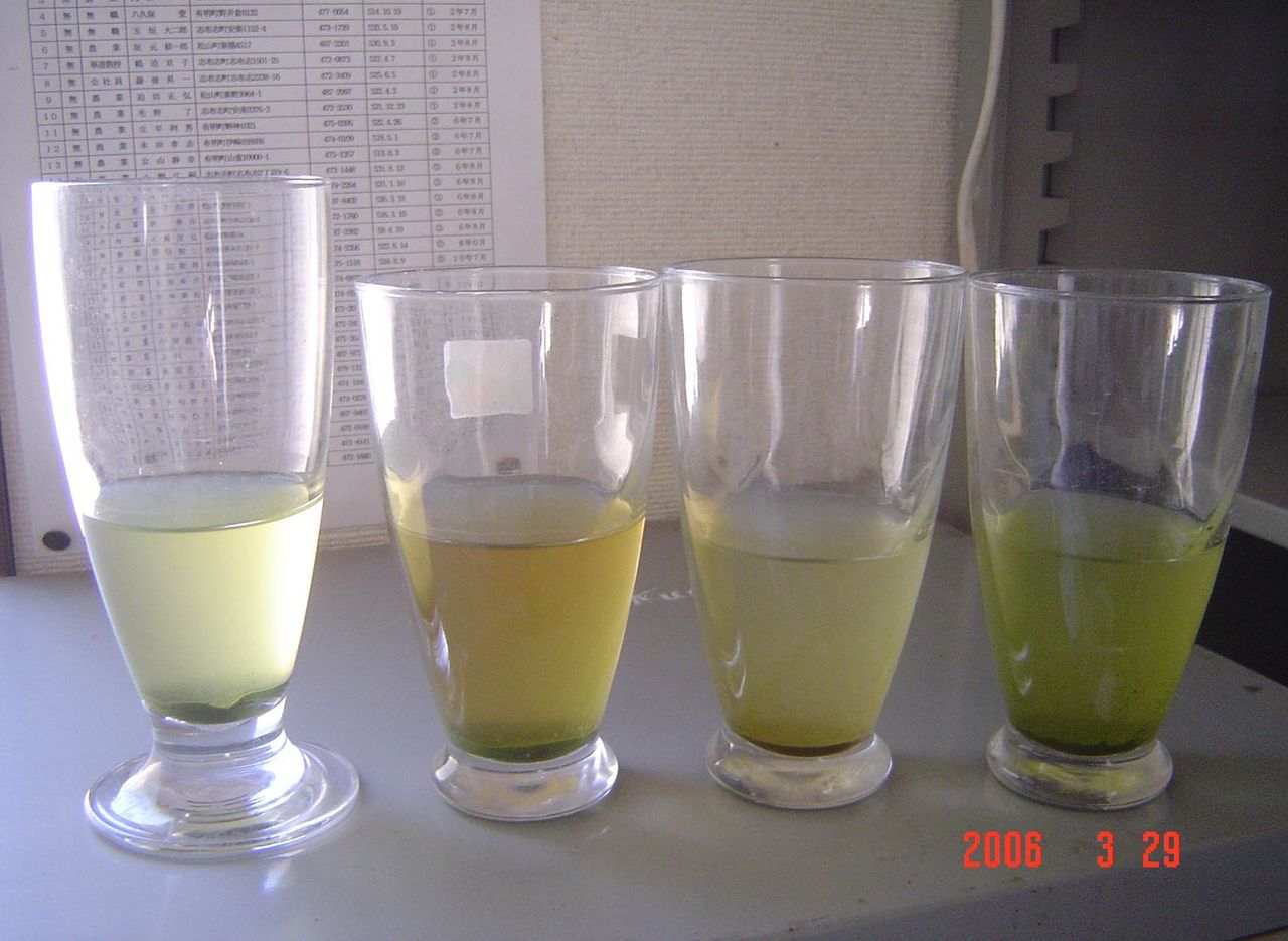 How they could make Organic Gyokuro - Sakamoto Brothers, Kagoshima ...