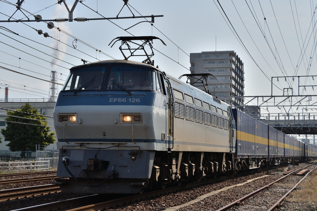 4月2日 朝練は代走EF66と今朝の表富士 : 加島の国