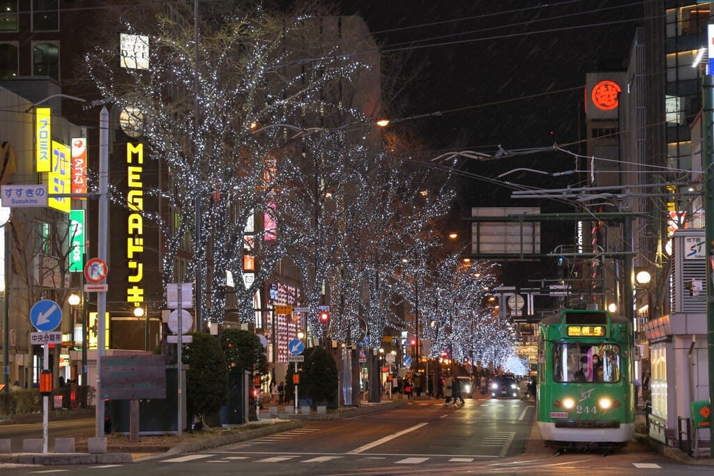 札幌市電 Vo.10 : 飛 鉄(HITETSU)
