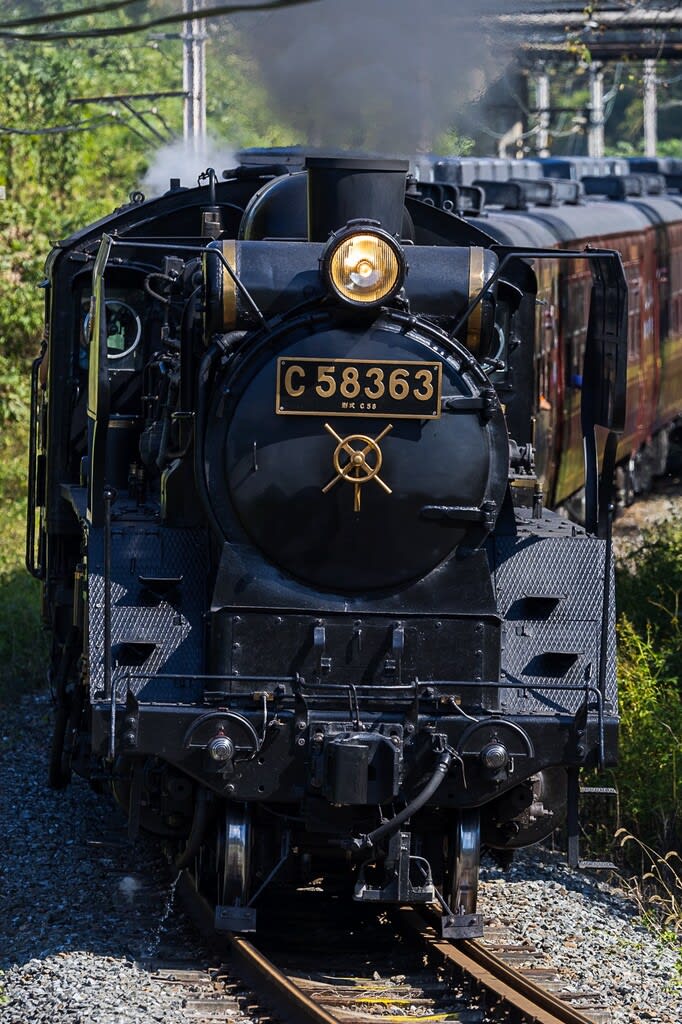 2024秋 秩父鉄道 Vo.5 : 飛 鉄(HITETSU)