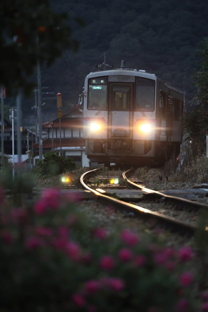 芸備線 Vol.8 : 飛 鉄(HITETSU)