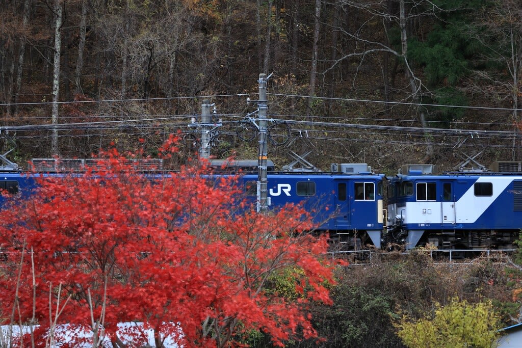 秋を愛でる 中央西線 Vo.4 : 飛 鉄(HITETSU)