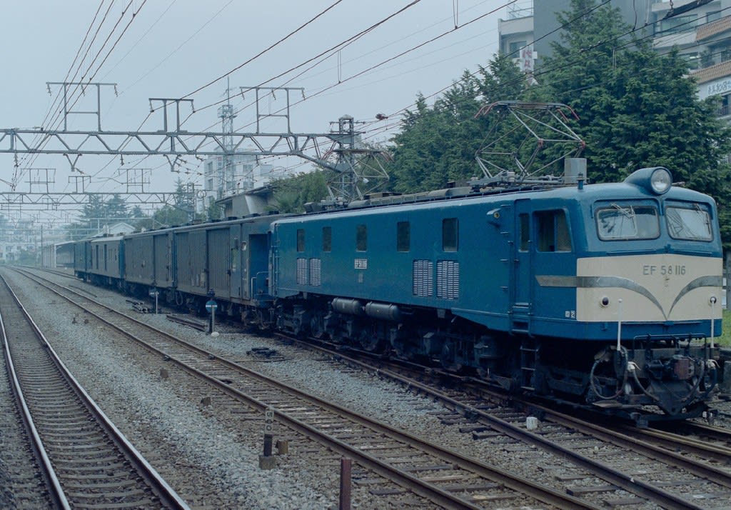 ゴハチの記録 EF58 116 : 飛 鉄(HITETSU)