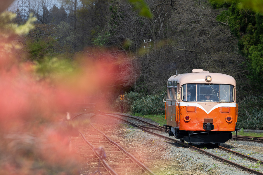 南部縦貫鉄道レールバス 2025 春 Vol.4 : 飛 鉄(HITETSU)