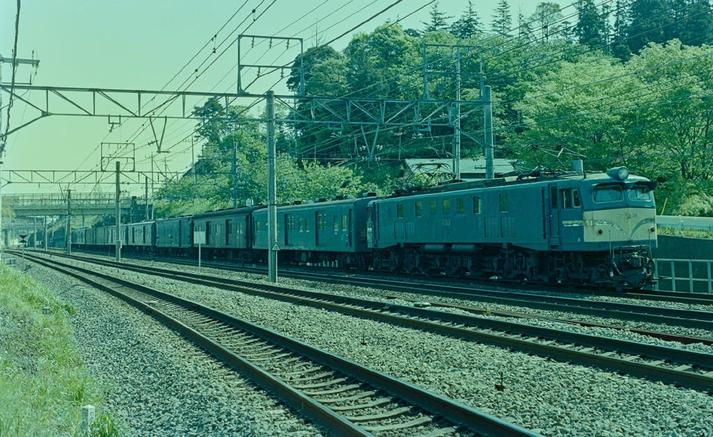 ゴハチの記録 EF58 36 : 飛 鉄(HITETSU)