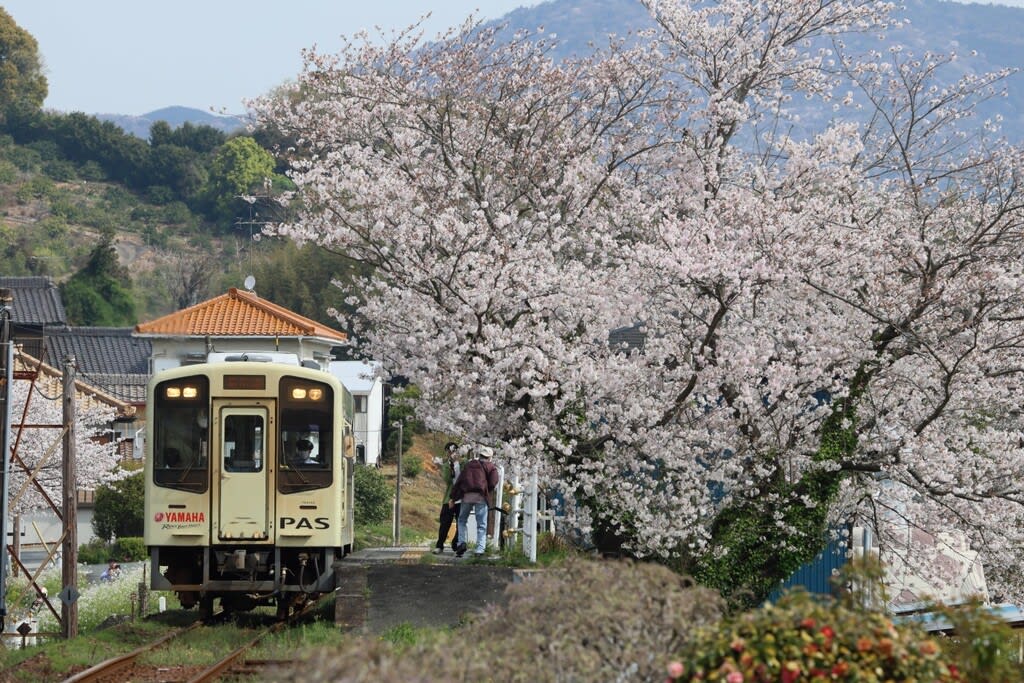 天竜浜名湖鉄道 Vo.8 : 飛 鉄(HITETSU)