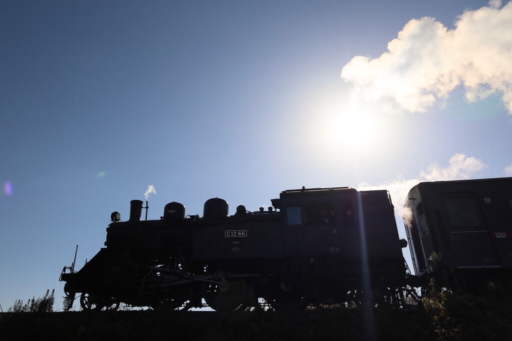 もうワンちゃん : 飛 鉄(HITETSU)