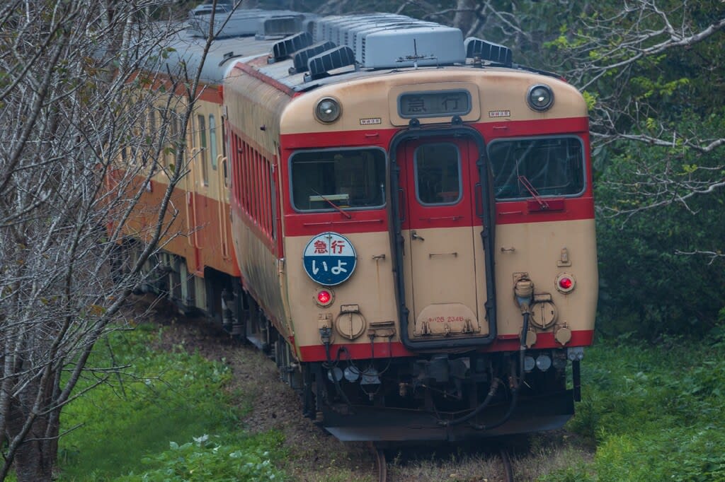 いよ Vol.4 : 飛 鉄(HITETSU)