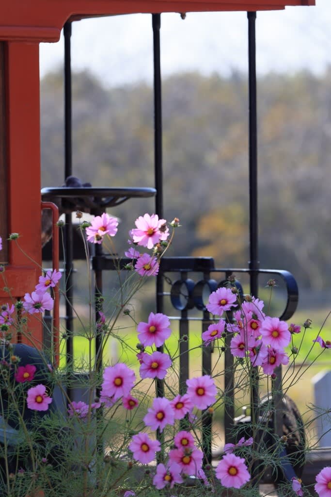 羅須地人鉄道まきば線 22秋 Vo.1 : 飛 鉄(HITETSU)