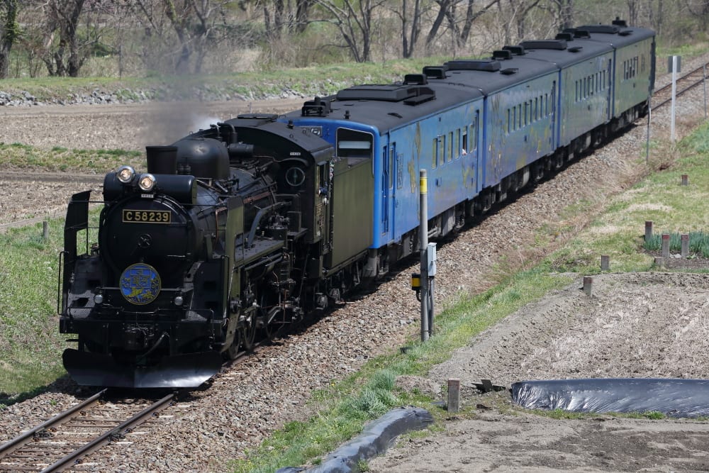 消化不良 その2 : 飛 鉄(HITETSU)