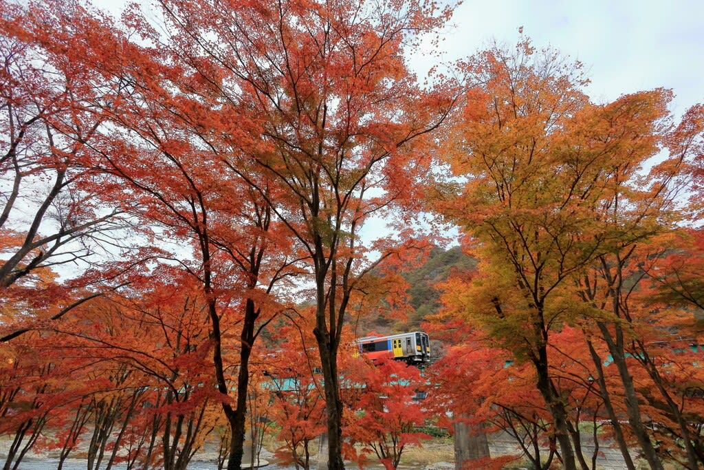 2022 水郡線 秋 Vol.1 : 飛 鉄(HITETSU)