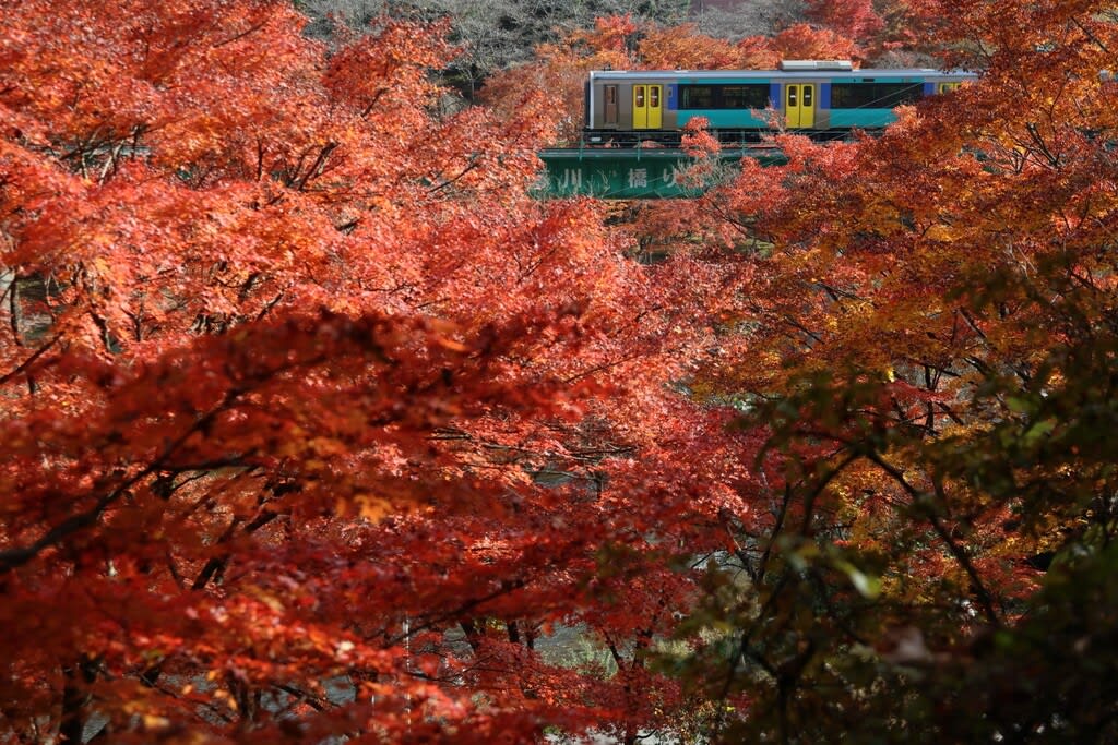 2022 水郡線 秋 Vol.3 : 飛 鉄(HITETSU)