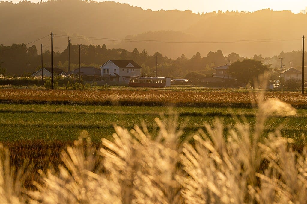 2024秋 小湊鉄道 Vo.8 : 飛 鉄(HITETSU)
