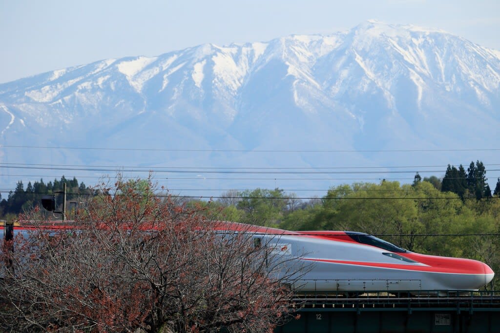 こまちを愛でる Vol.1 : 飛 鉄(HITETSU)