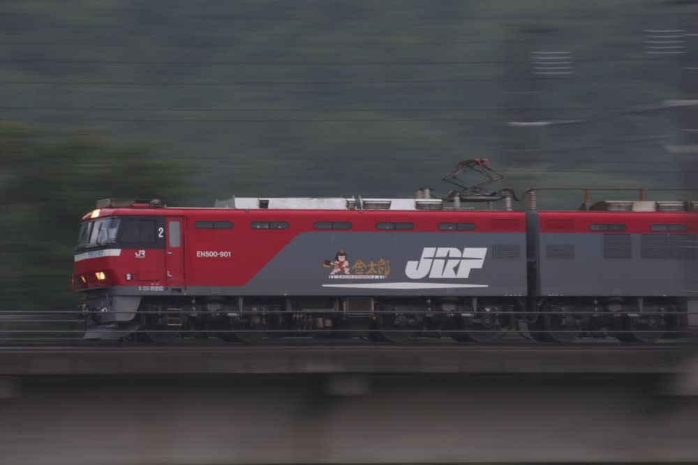 復活金太郎901号 : 飛 鉄(HITETSU)