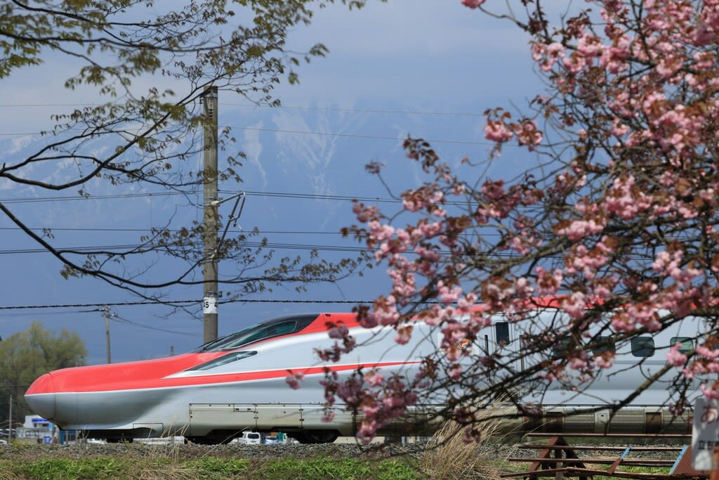 こまちを愛でる Vol.1 : 飛 鉄(HITETSU)