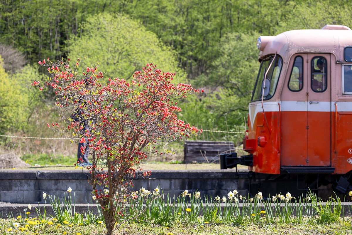 南部縦貫鉄道レールバス 2025 春 Vol.3 : 飛 鉄(HITETSU)
