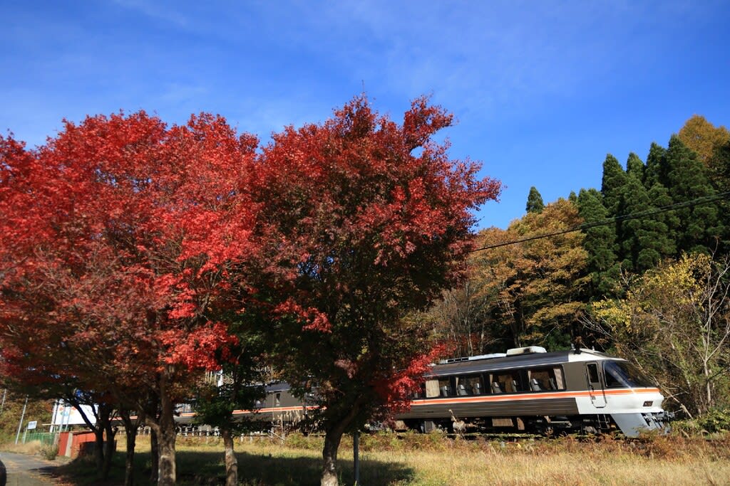 秋を愛でる 高山本線 Vo.8 : 飛 鉄(HITETSU)