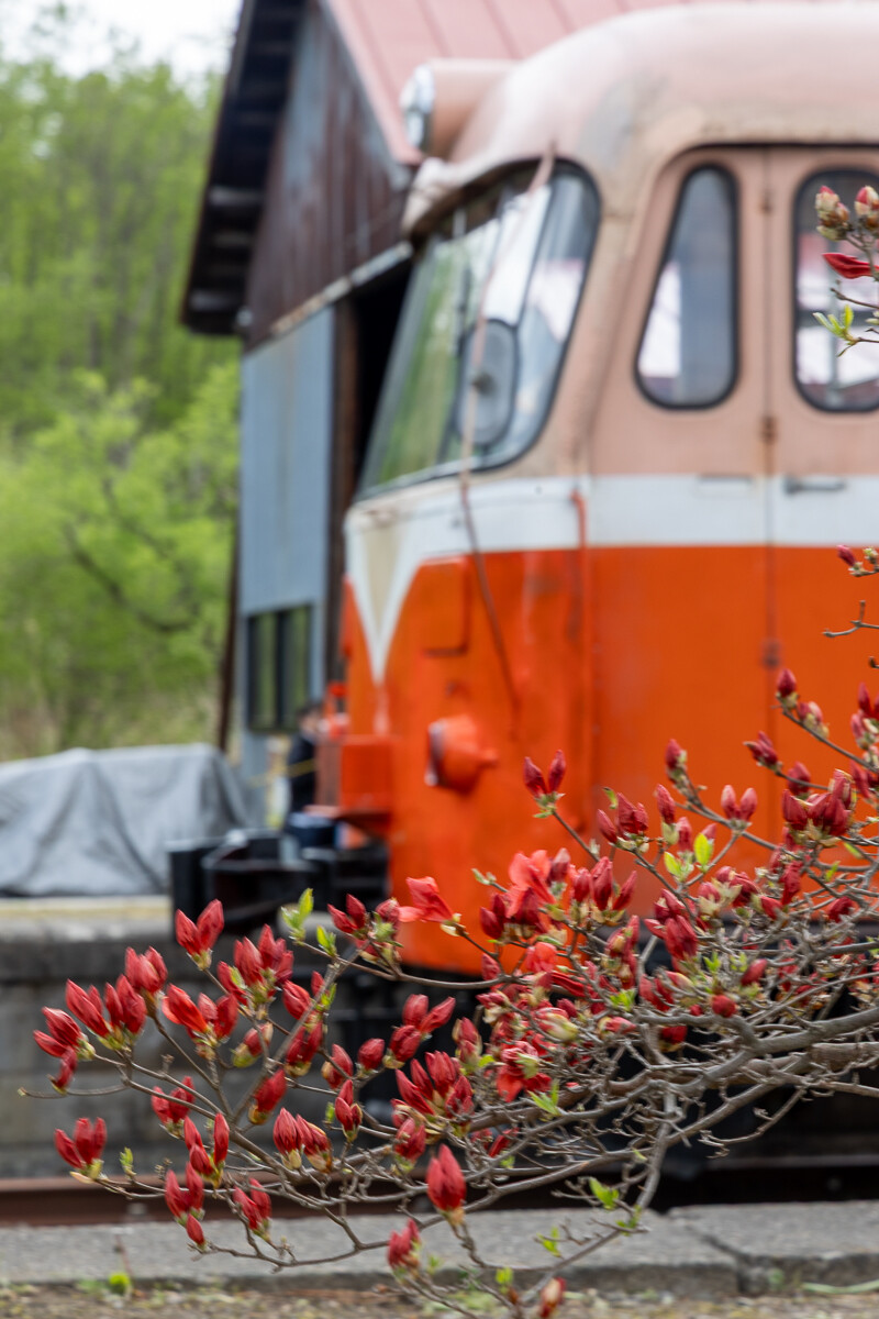 南部縦貫鉄道レールバス 2025 春 Vol.3 : 飛 鉄(HITETSU)