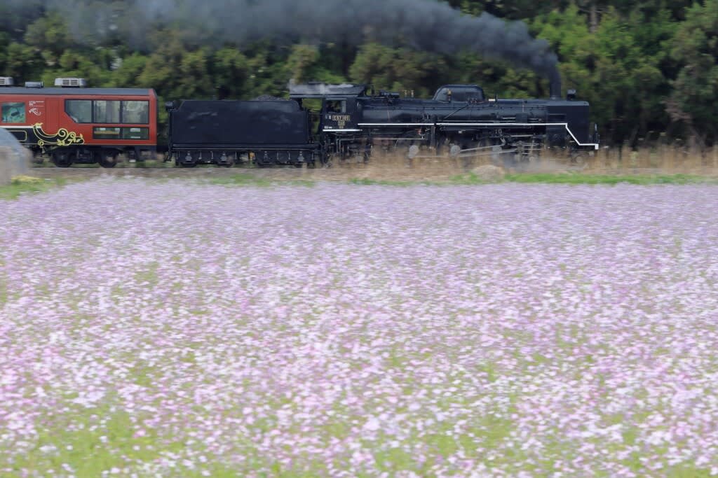 おまけのばんえつ物語 Vo.4 : 飛 鉄(HITETSU)