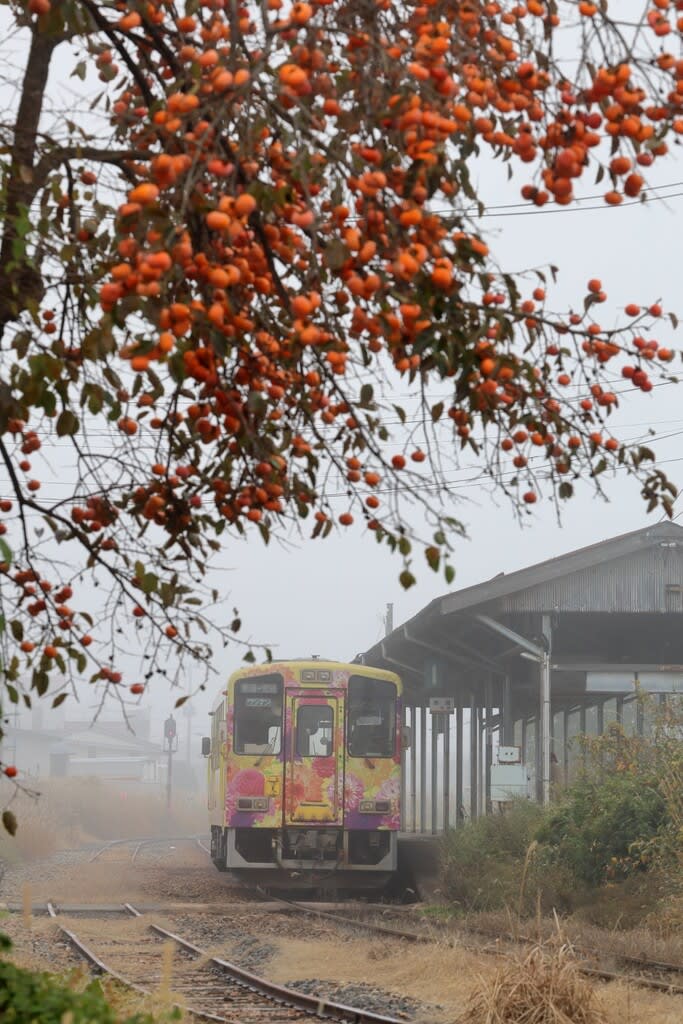 フラワー長井線 2024 VoL.5 : 飛 鉄(HITETSU)