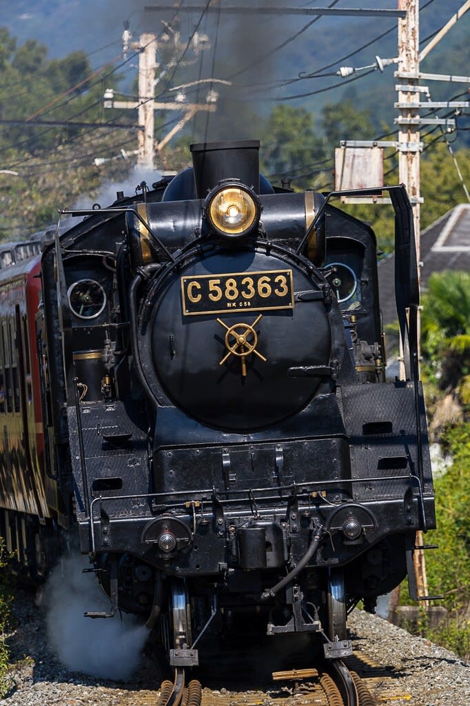 2024秋 秩父鉄道 Vo.4 : 飛 鉄(HITETSU)