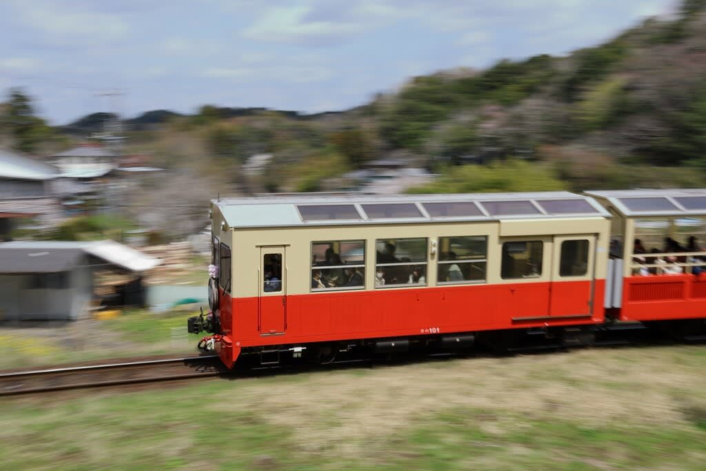 2025 さくら 小湊鉄道 Vol.10 : 飛 鉄(HITETSU)