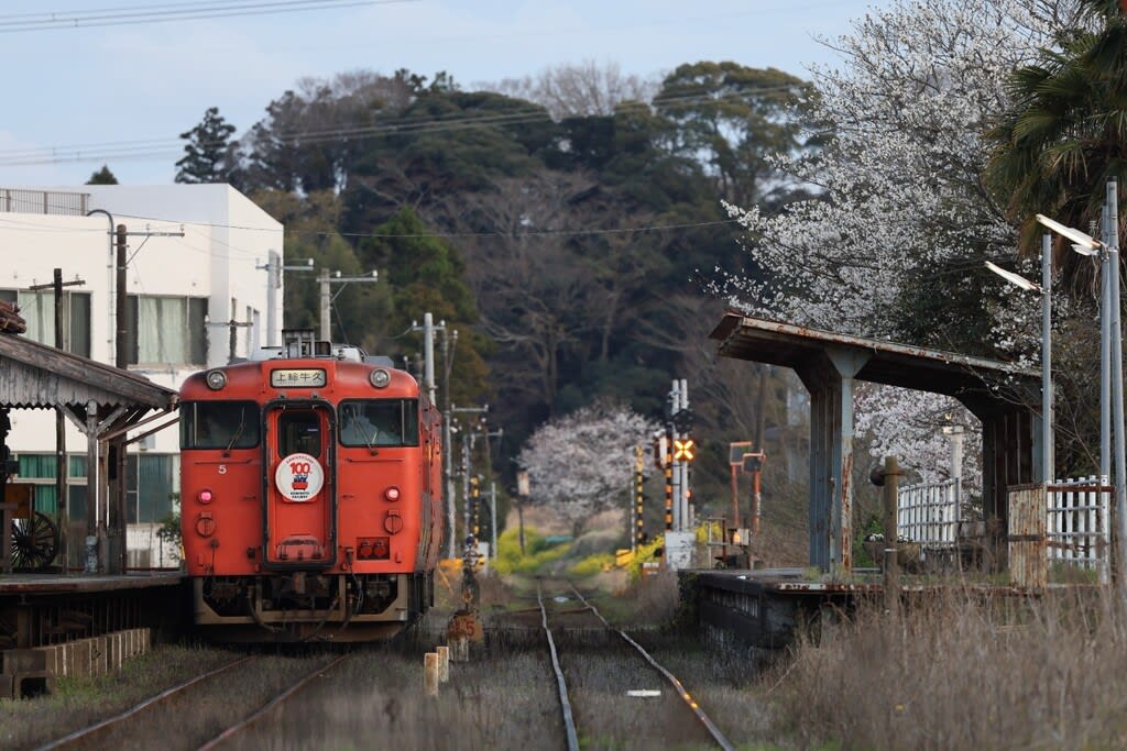 2025 さくら 小湊鉄道 Vol.18 : 飛 鉄(HITETSU)