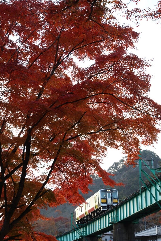 2022 水郡線 秋 Vol.5 : 飛 鉄(HITETSU)