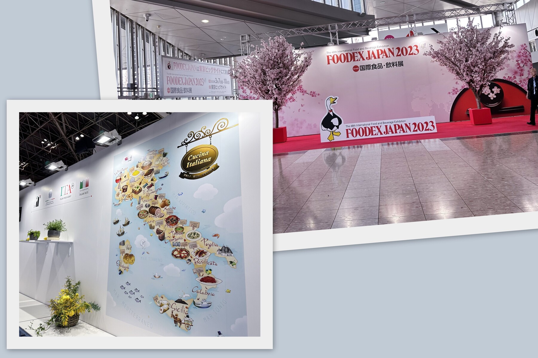 飛び出せ Kitchen ♪:FOODEX 2023 - livedoor Blog（ブログ）