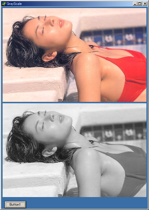 めもニャンだむ:[Delphi] VCL TBitmap GayScale