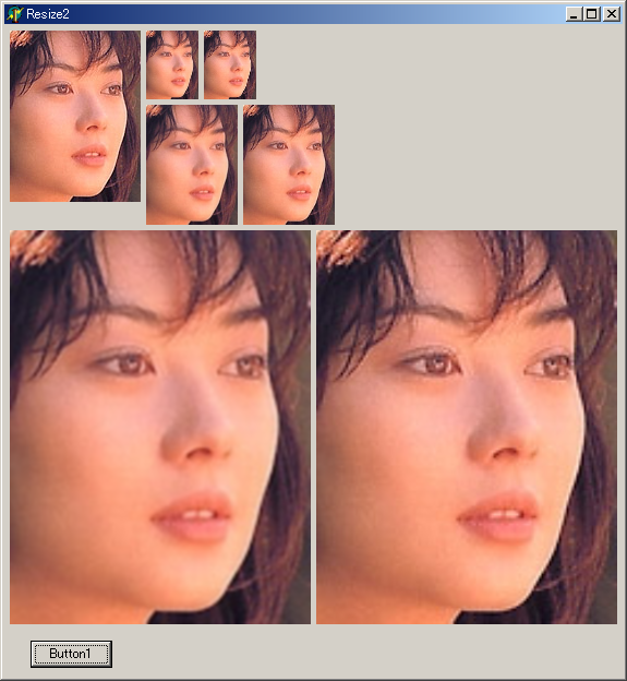めもニャンだむ:[Delphi] VCL TBitmap Resize Bicubic Filter