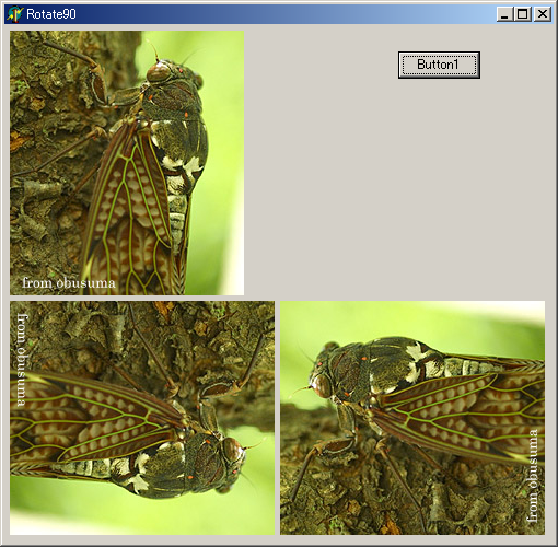めもニャンだむ:[Delphi] VCL TBitmap Rotate90