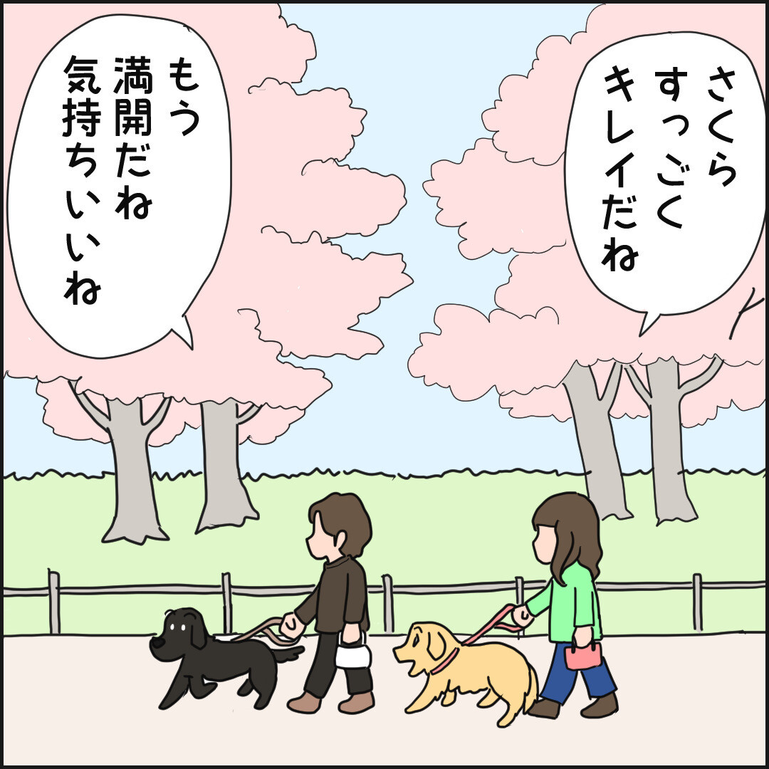 お花見散歩 : JUNKLAND