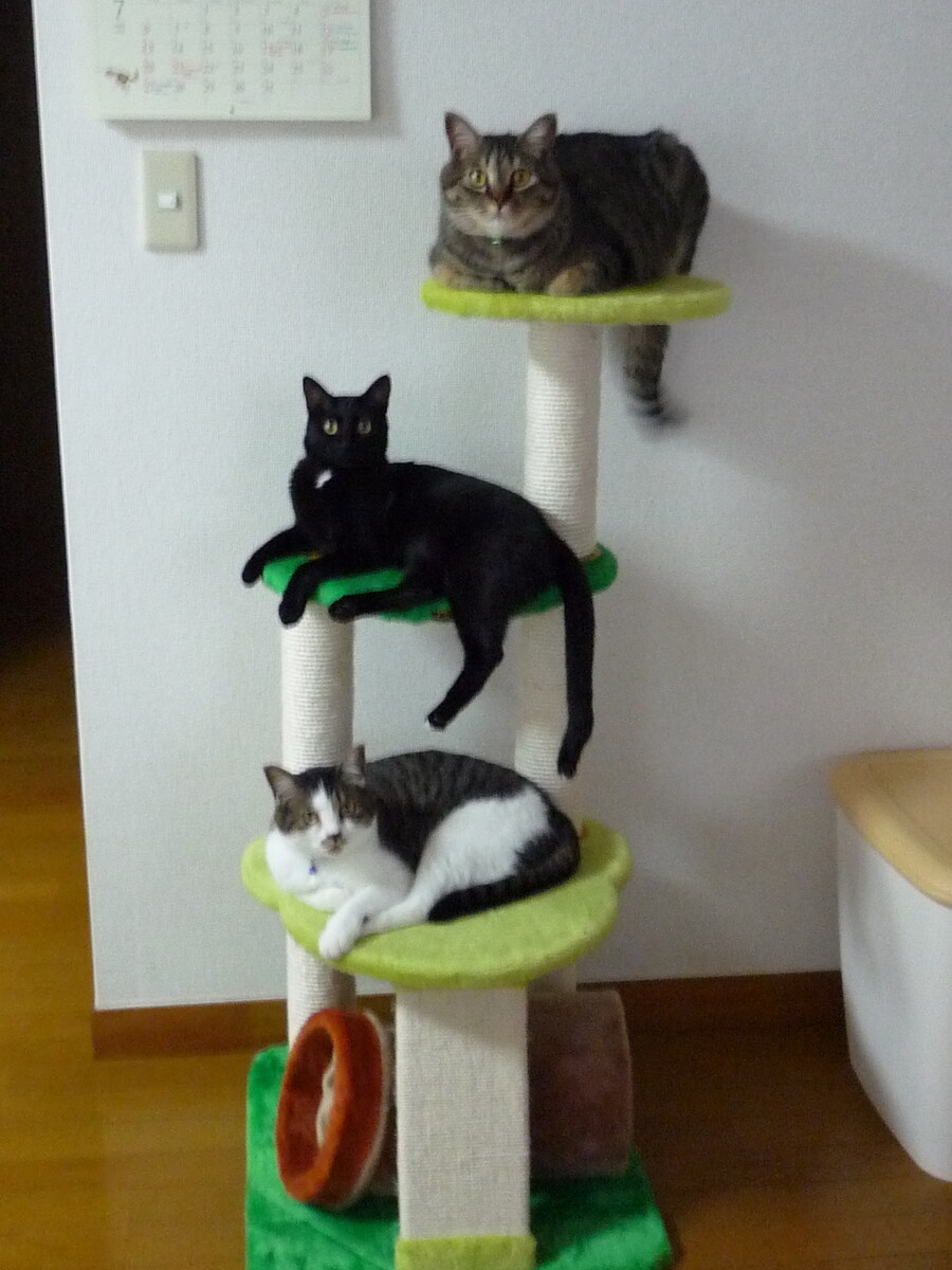 明日、お空にむかいます : JUNKLAND