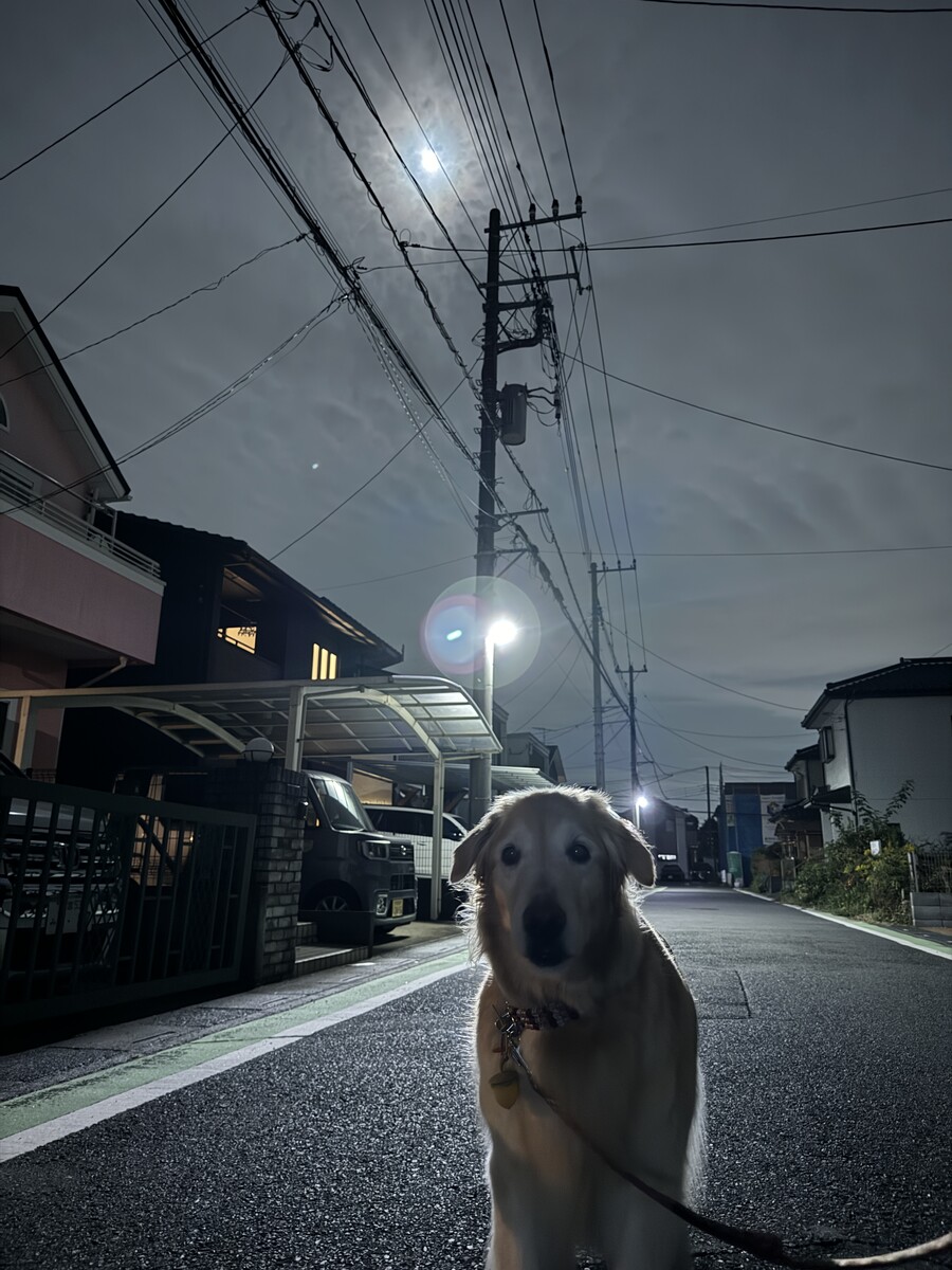 旅に出ます♪一泊二日だけど（笑） : JUNKLAND