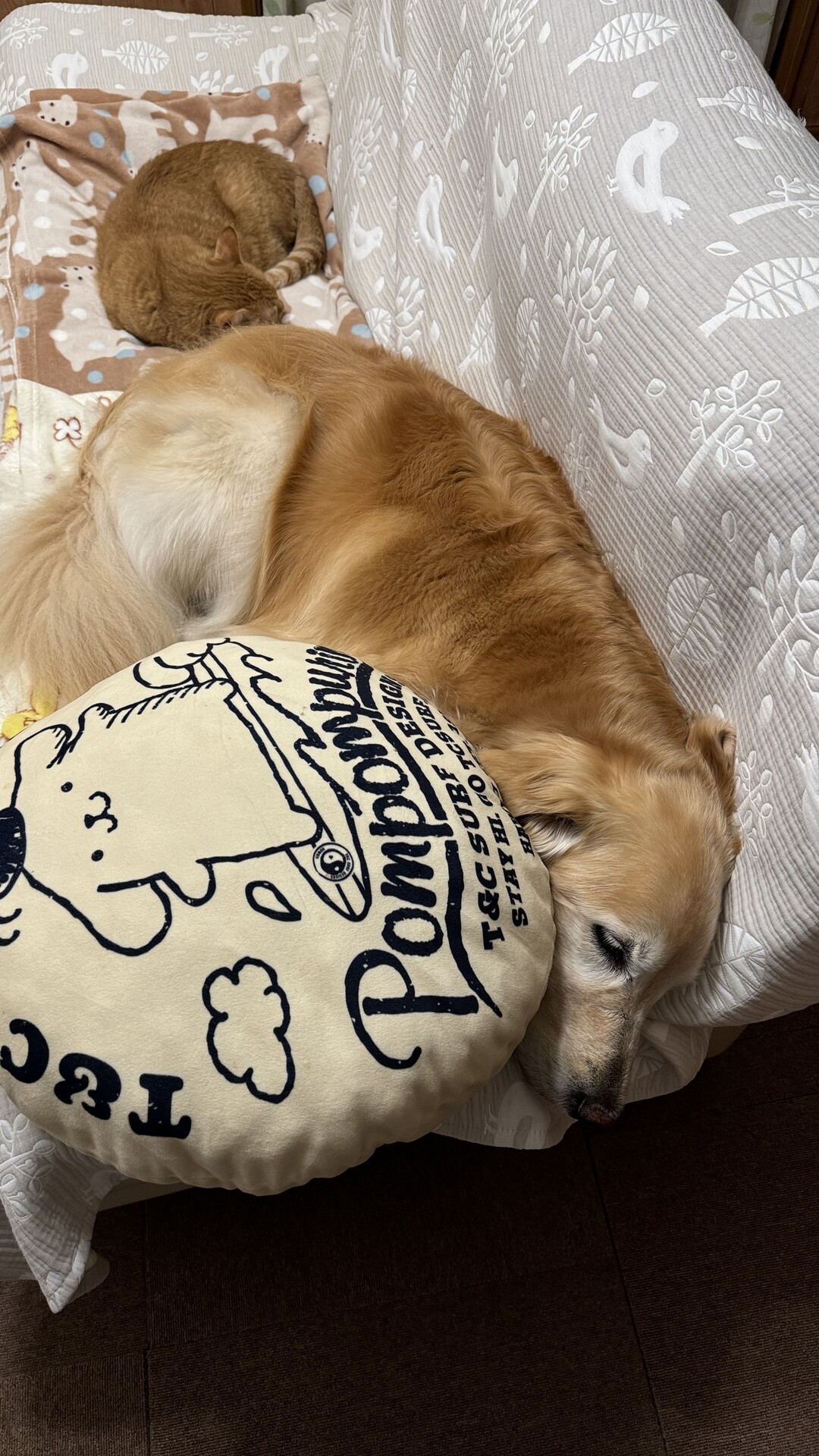 沼にはまりました（笑） : JUNKLAND