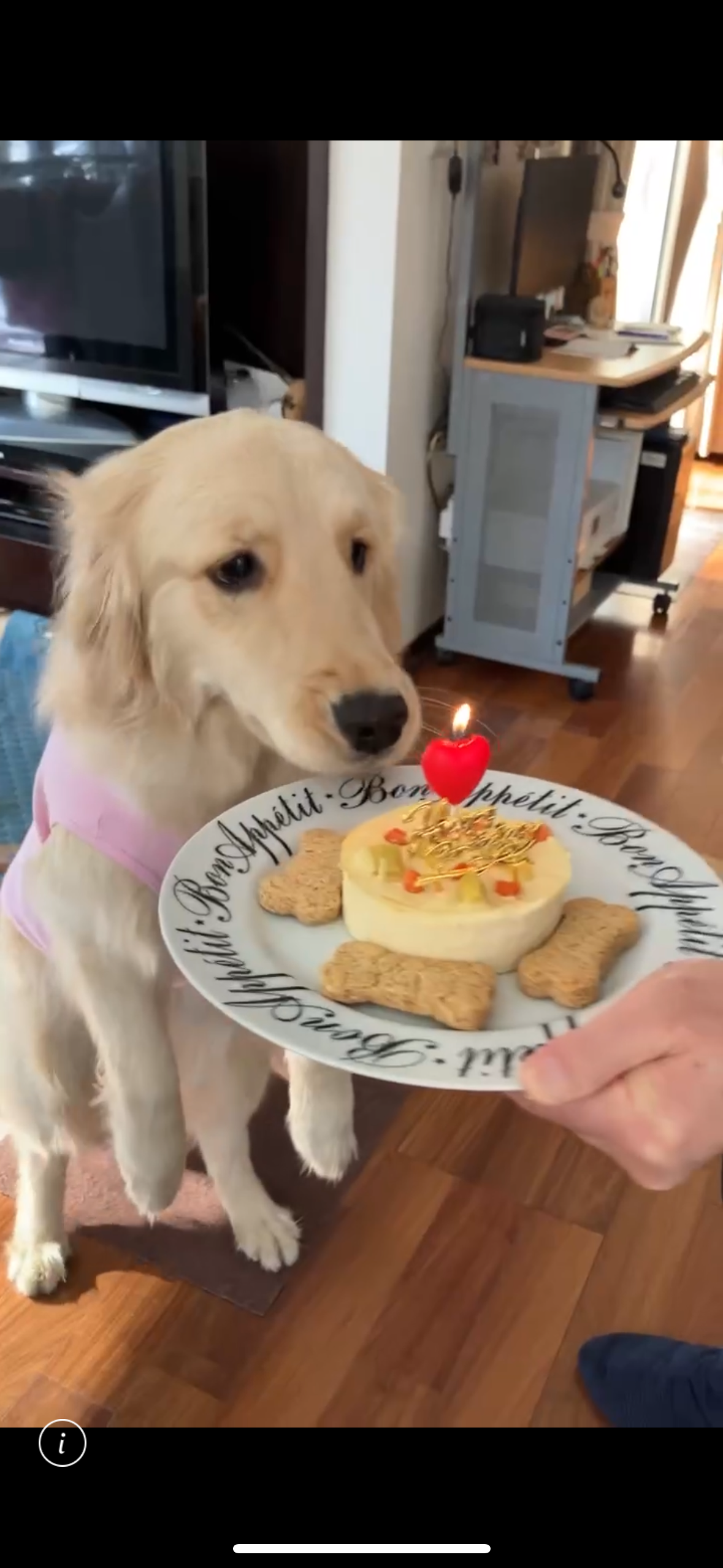 みんなおめでとう💛 : JUNKLAND