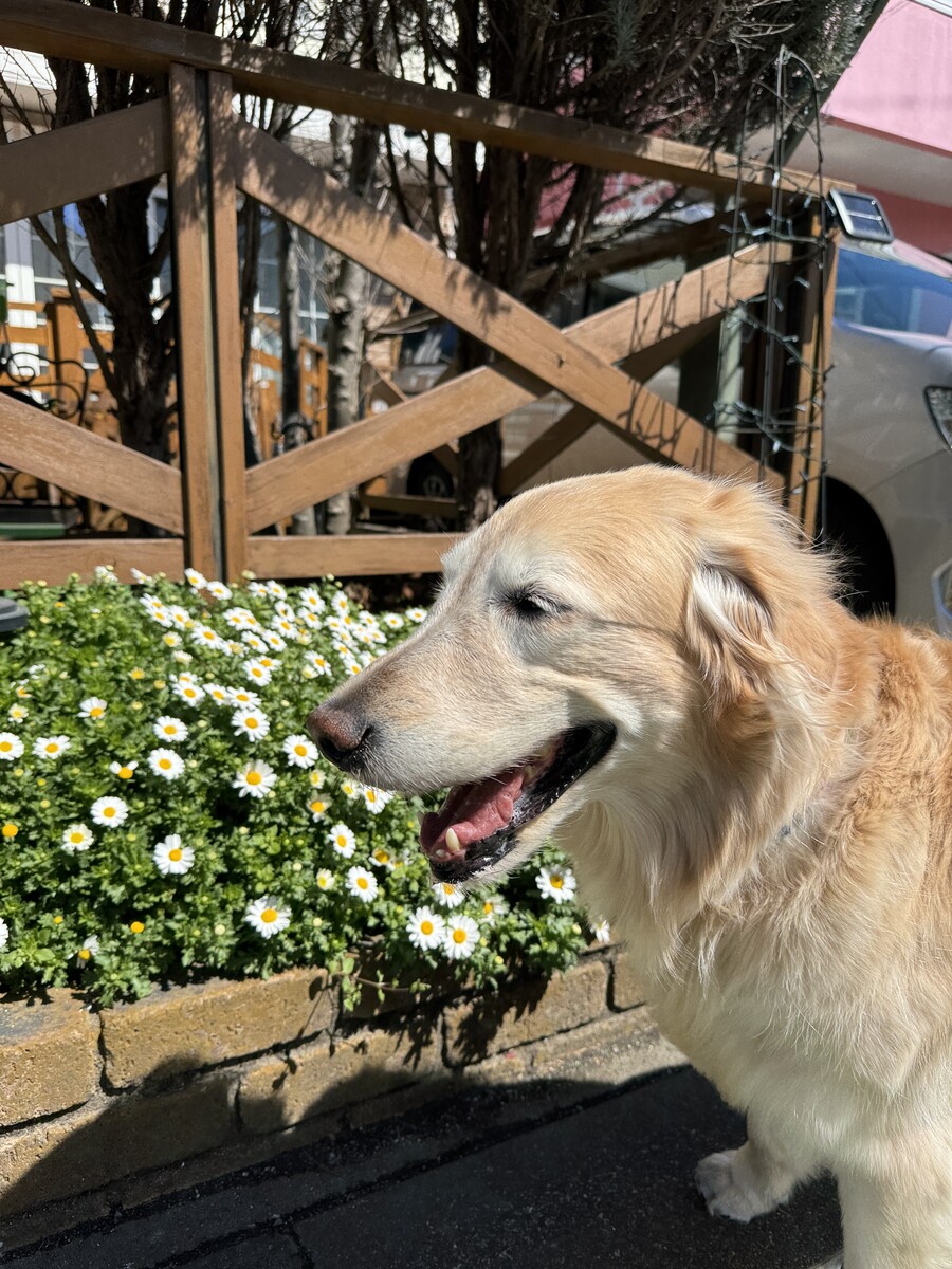 こっち向いてくれないのね（￣ ￣;） : JUNKLAND