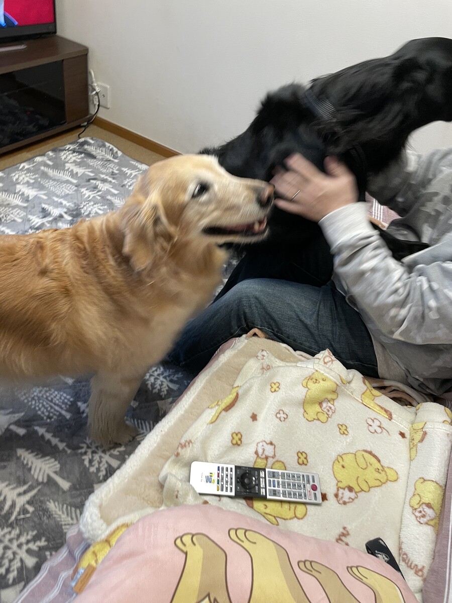 2024年01月22日 : JUNKLAND