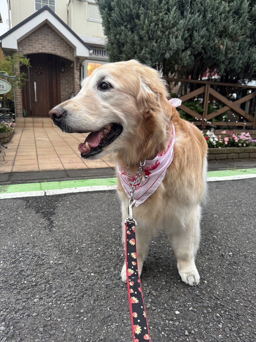 涼しい～～～ : JUNKLAND