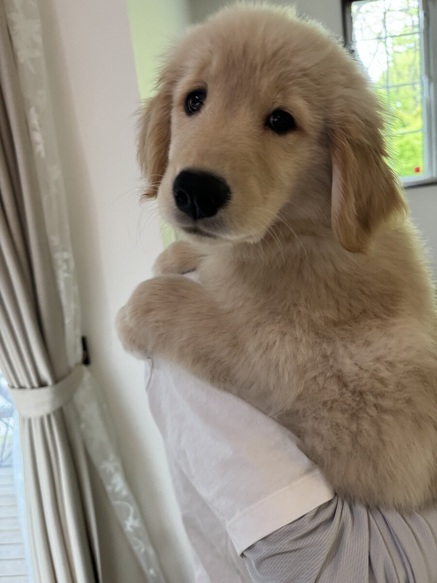 みんなおめでとう💛 : JUNKLAND