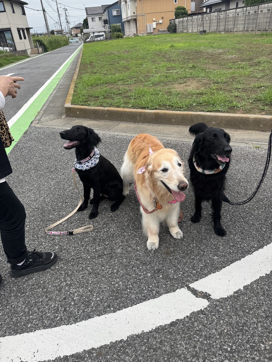 台風やだなぁ : JUNKLAND