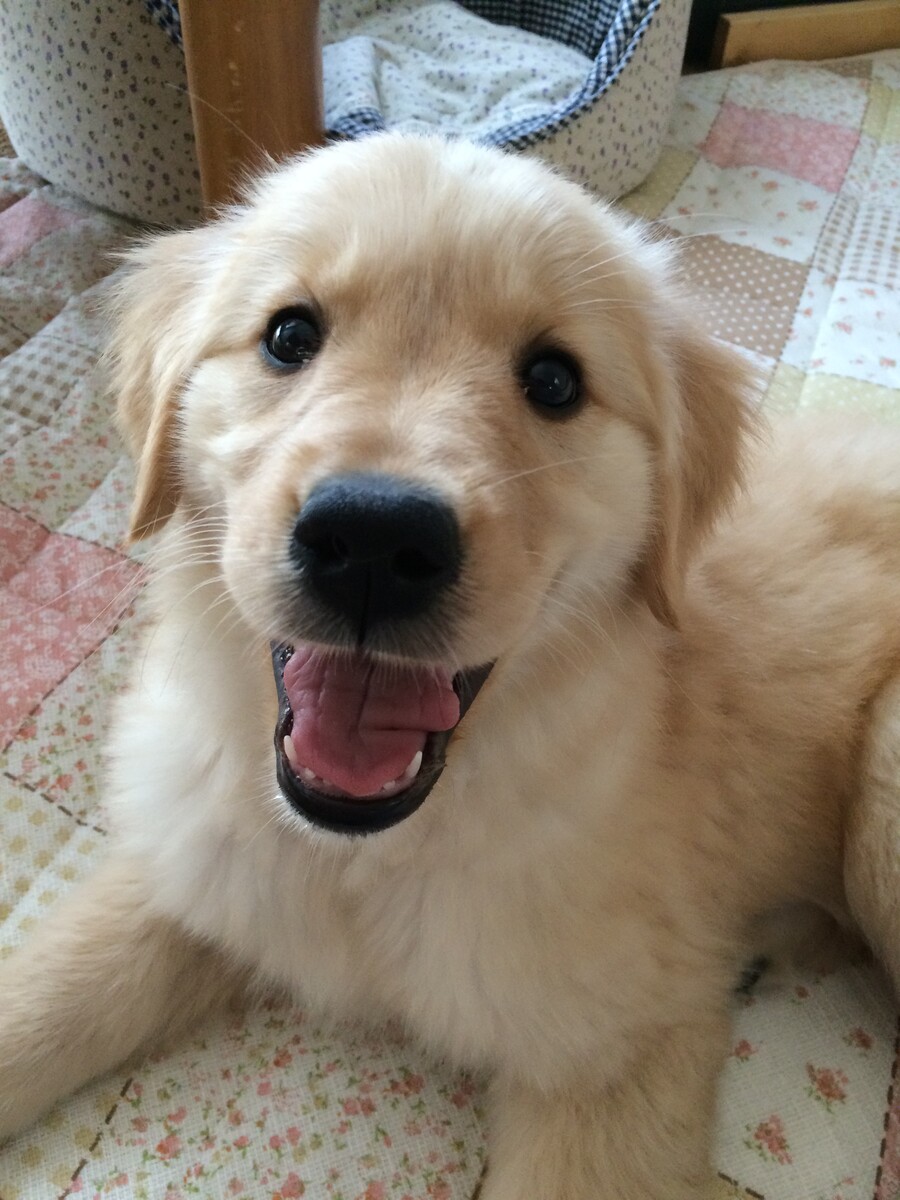 2023年03月02日 : JUNKLAND